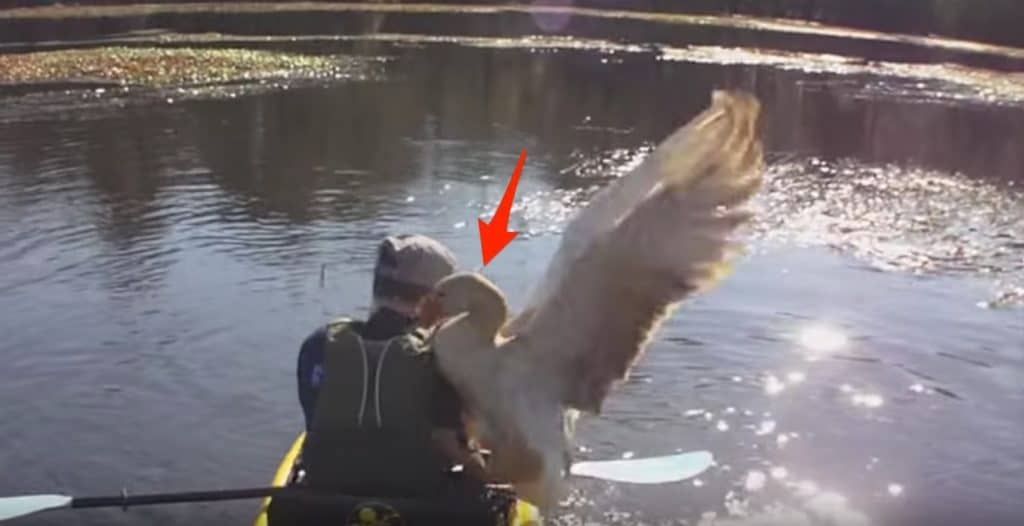 26 Essential Kayaking Hacks Every Paddler Should Know - Kayak Help