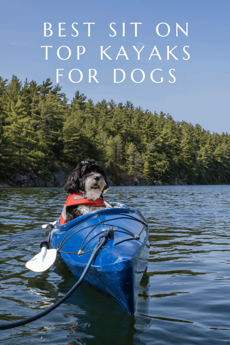10 Best Sit On Top Kayaks For Dogs - Kayak Help