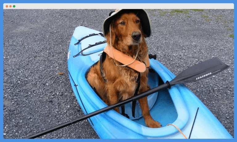 How To Kayak With Dog - Kayak Help
