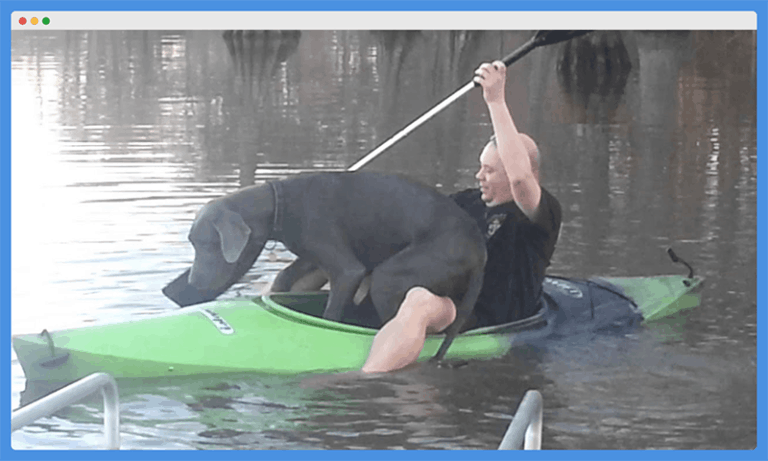 Best Kayak Dog Platforms, Seats, Deck, Attachments, & Outriggers ...