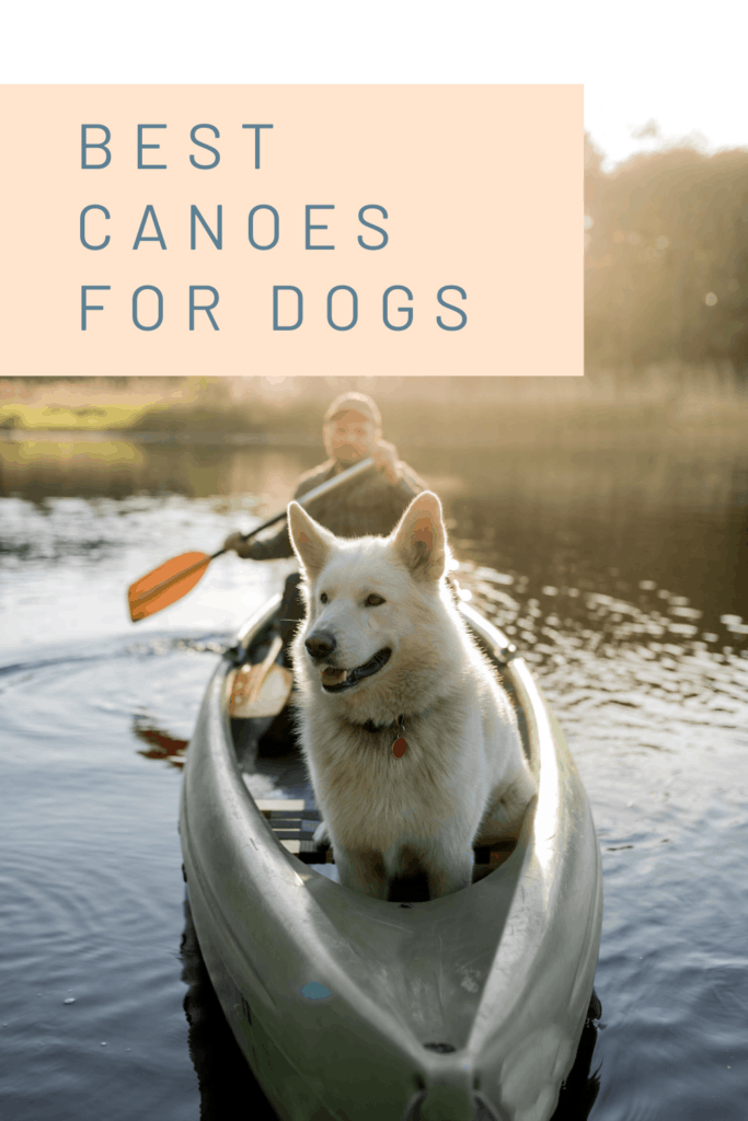 10 Best Canoes For Dogs - Kayak Help