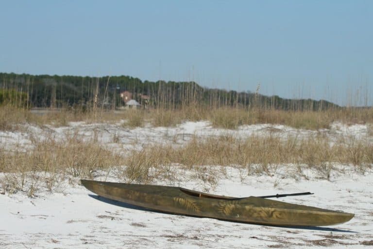 21 Kayak Painting Ideas & Designs - Kayak Help