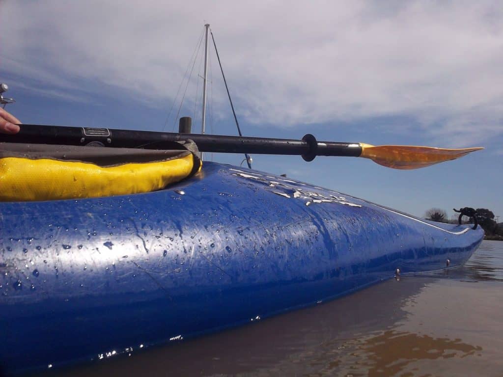 Perception Dancer Kayak Review - Is It Worth It? - Kayak Help