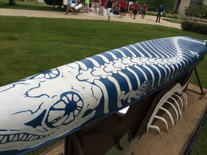 21 Kayak Painting Ideas & Designs - Kayak Help