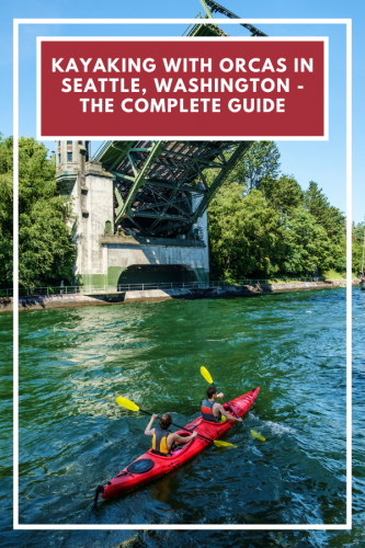 Kayaking With Orcas In Seattle, Washington - The Complete Guide - Kayak ...