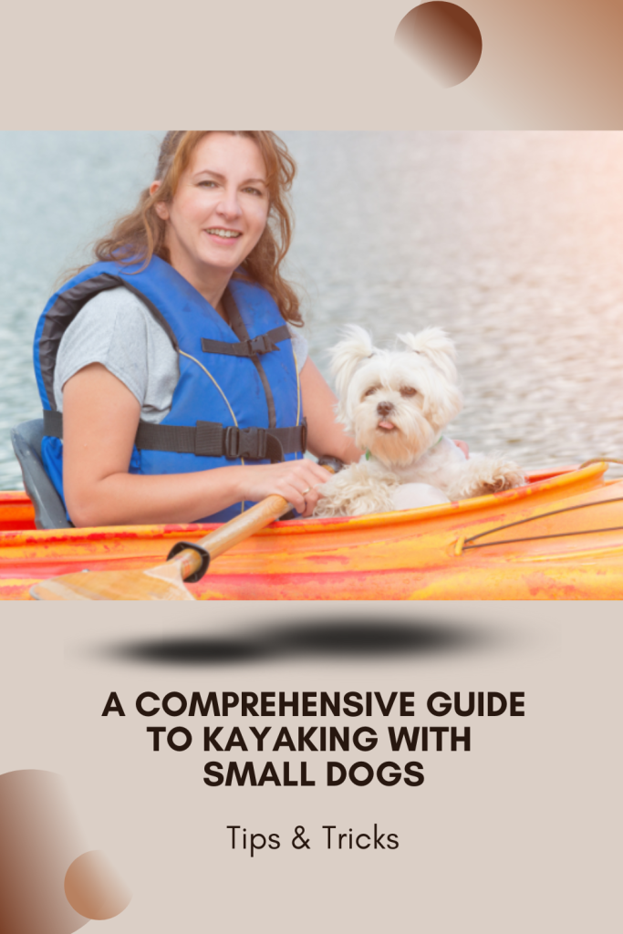 A Comprehensive Guide To Kayaking With Small Dogs: 10 Detailed Tips ...