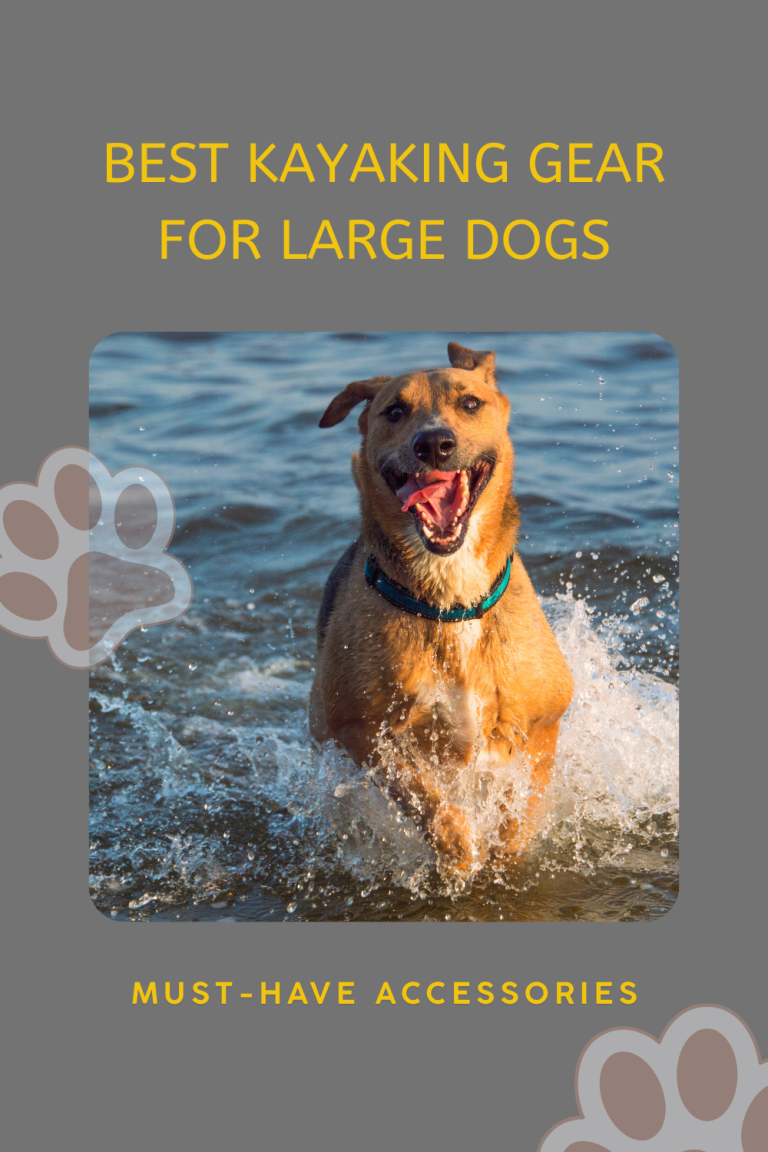The Best Kayaking Gear For Large Dogs: 9 Must-Have Accessories - Kayak Help